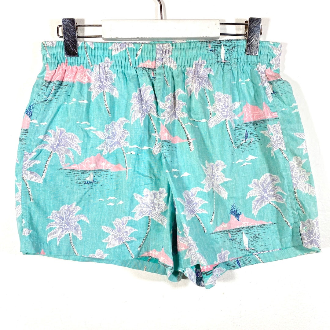 Reyn Spooner Nos 80s Hawaiian Palms Volcanoes Print Sea Green Swim ...