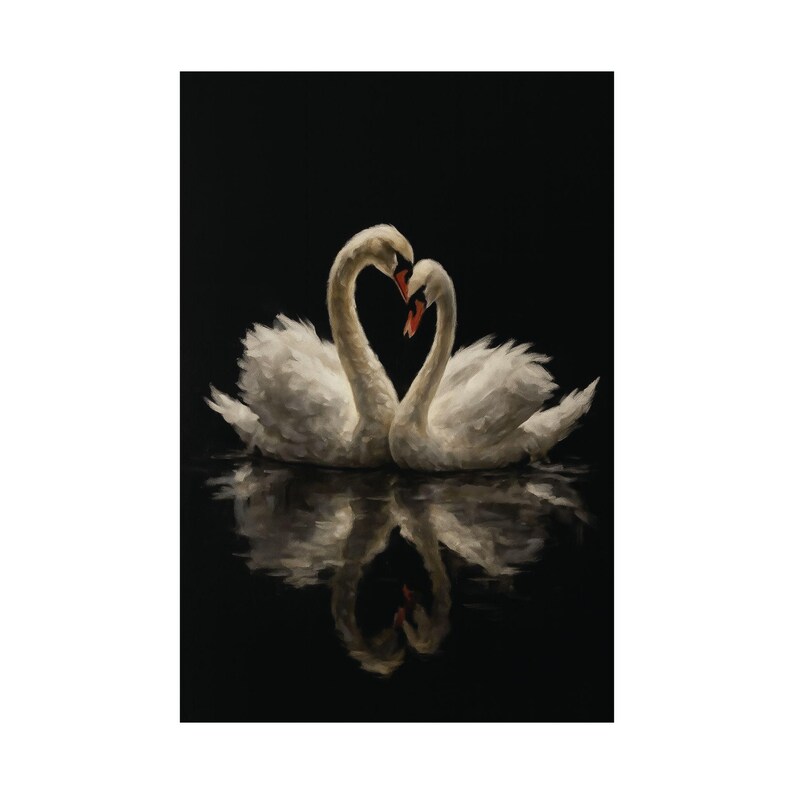 Swan Couple Art Print | Romantic Heart Shape, Black Background - Etsy