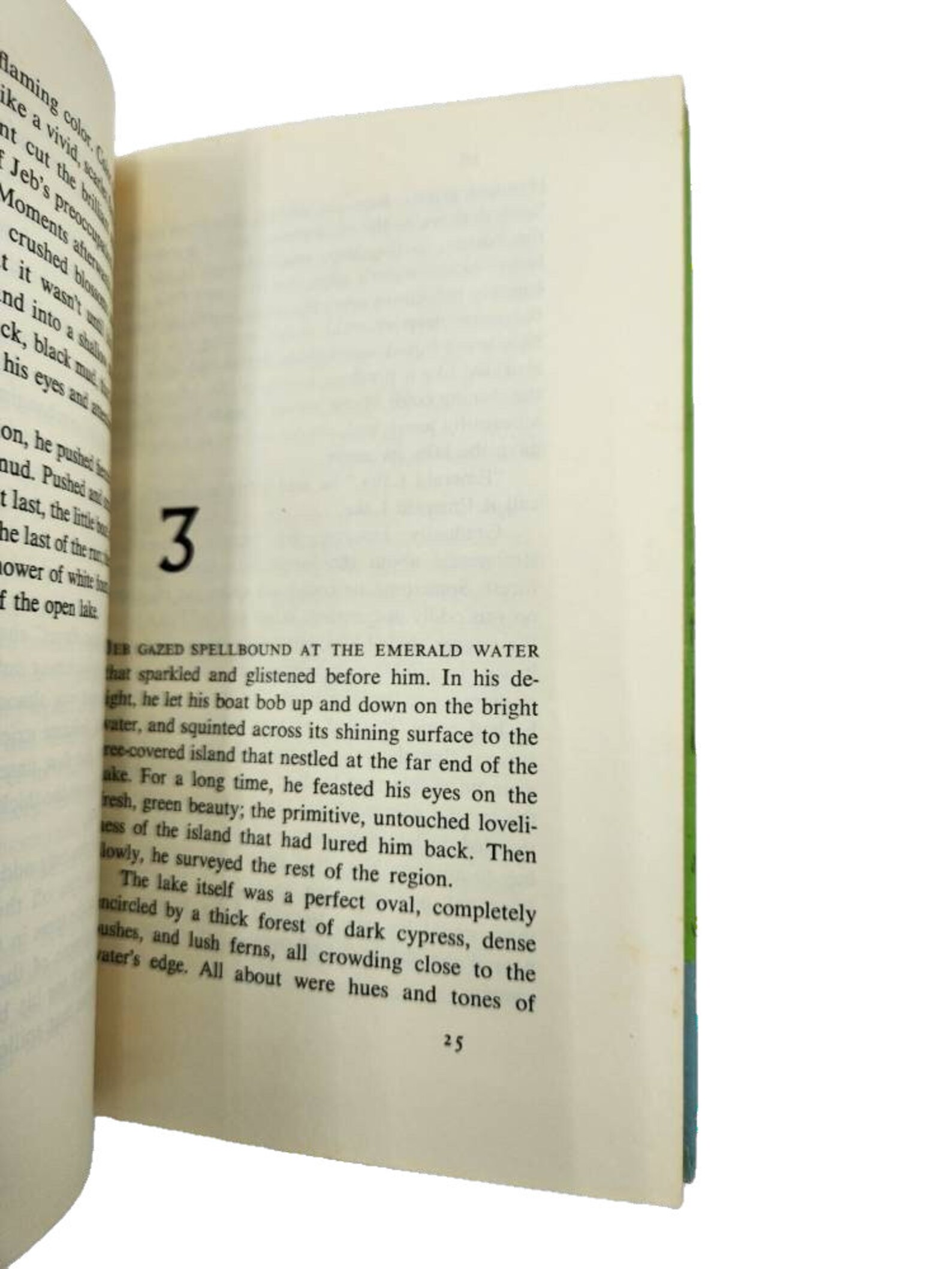 Mystery of the Great Swamp, Marjorie A Zapf, Carl Kidwell, Vintage Kids ...