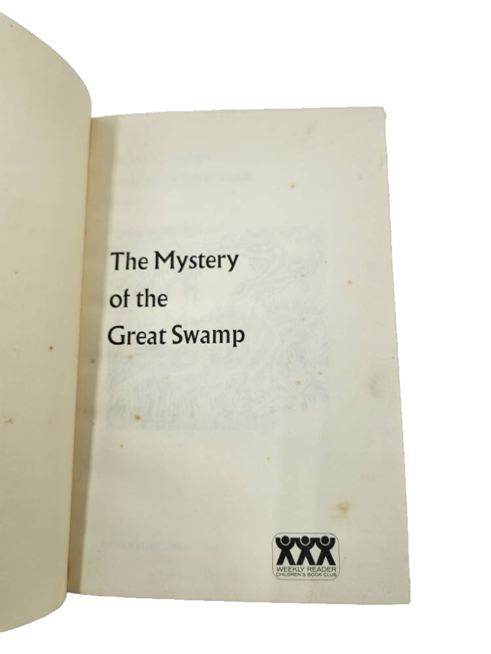 Mystery of the Great Swamp, Marjorie A Zapf, Carl Kidwell, Vintage Kids ...