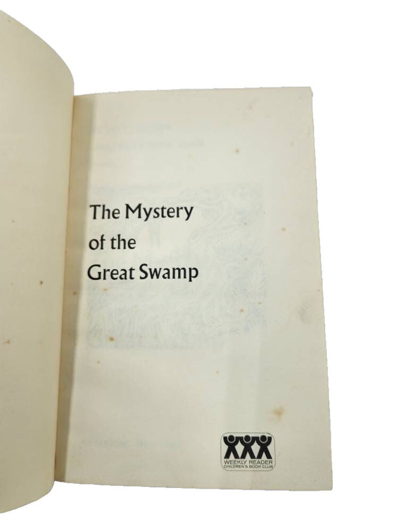 Mystery of the Great Swamp, Marjorie A Zapf, Carl Kidwell, Vintage Kids ...