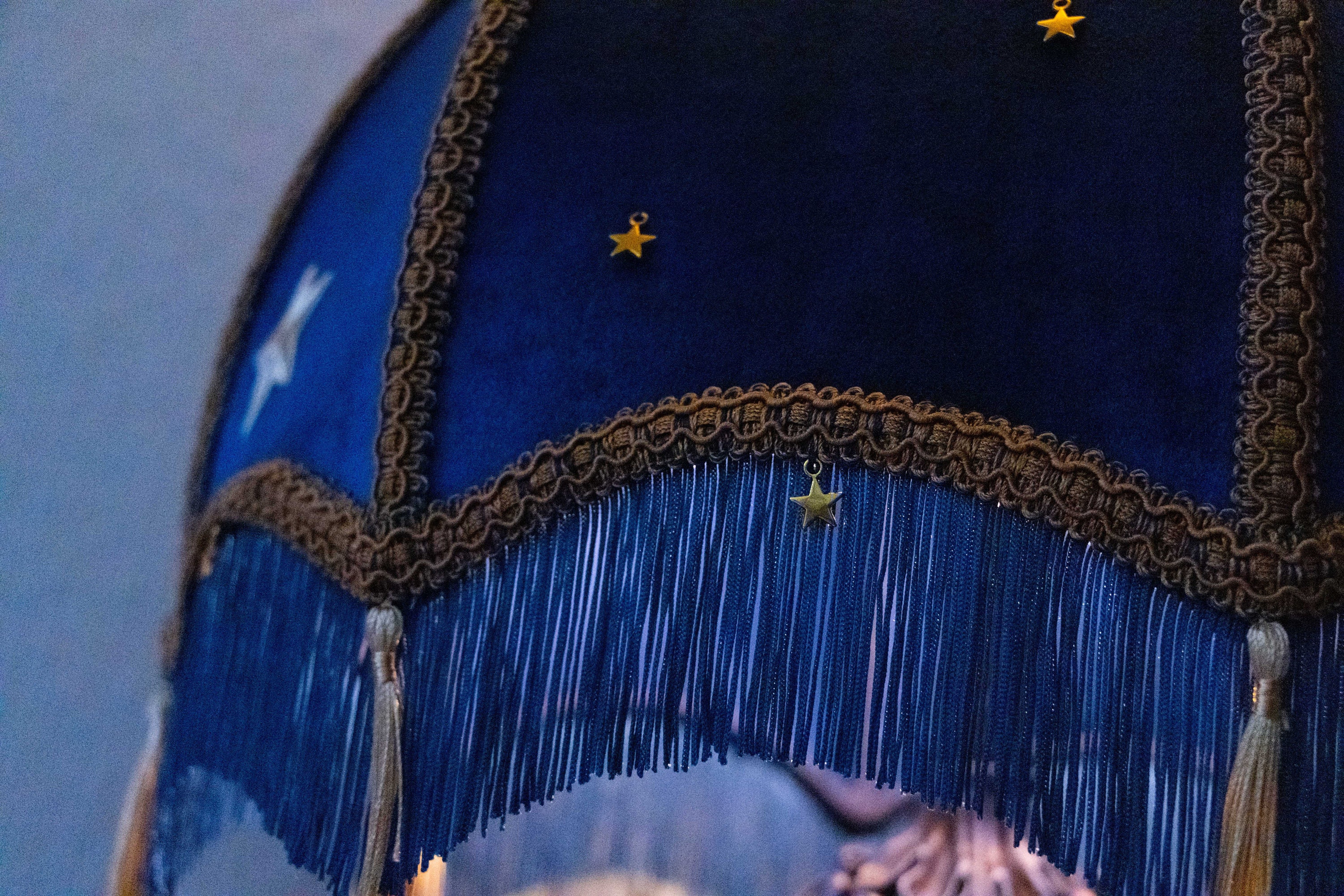 Shooting Stars Velvet Handmade Lampshade With Fringing - Etsy UK
