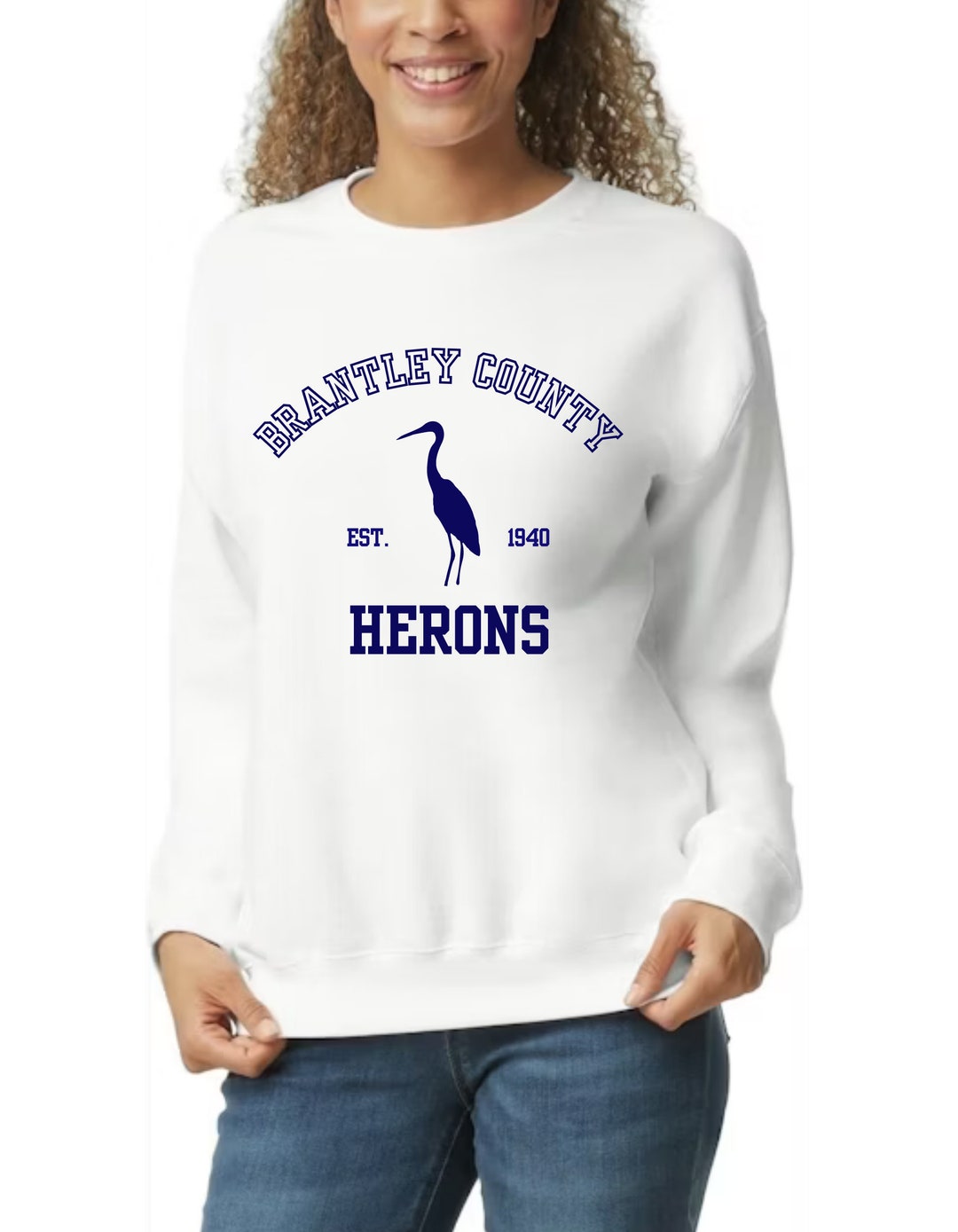 Brantley County Herons Unisex Soft Pullover, Georgia Sweater, School ...