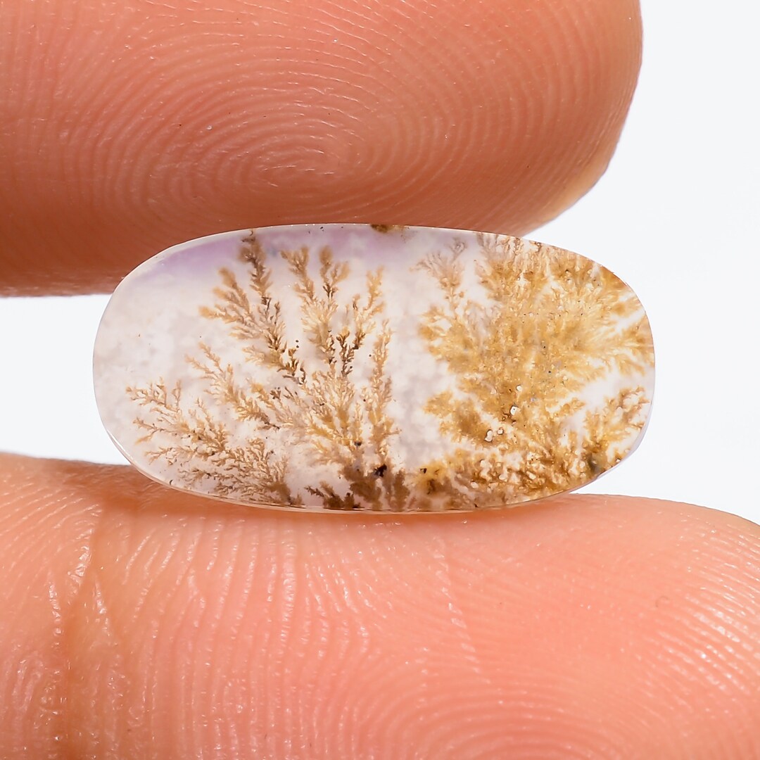 Christmas Gifts Dendritic Scenic Agate Stone Shazar Dendritic - Etsy