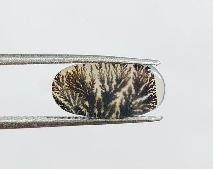 Natural Dendritic Quartz Oval Shape Cabochon . Designer Cabochon ...