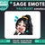 Sage Emote Twitch Emotes Streaming Easy to Set up Valorant Sage Discord ...