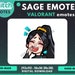 Sage Emote Twitch Emotes Streaming Easy to Set up Valorant Sage Discord ...