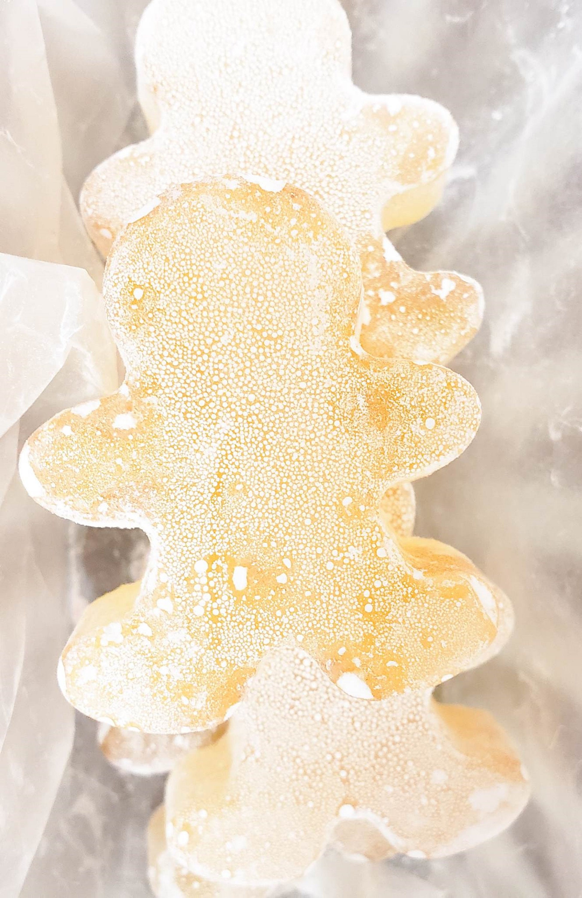 Multiple Flavors Hard Candy Person Goings Gourmet - Etsy