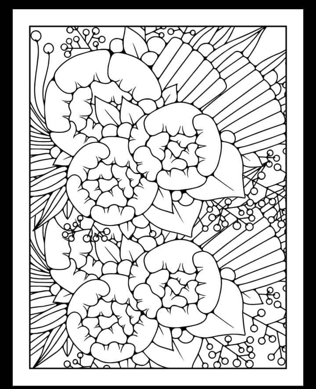 Pretty Floral Coloring Pages Bundle Beautiful Flowers - Etsy