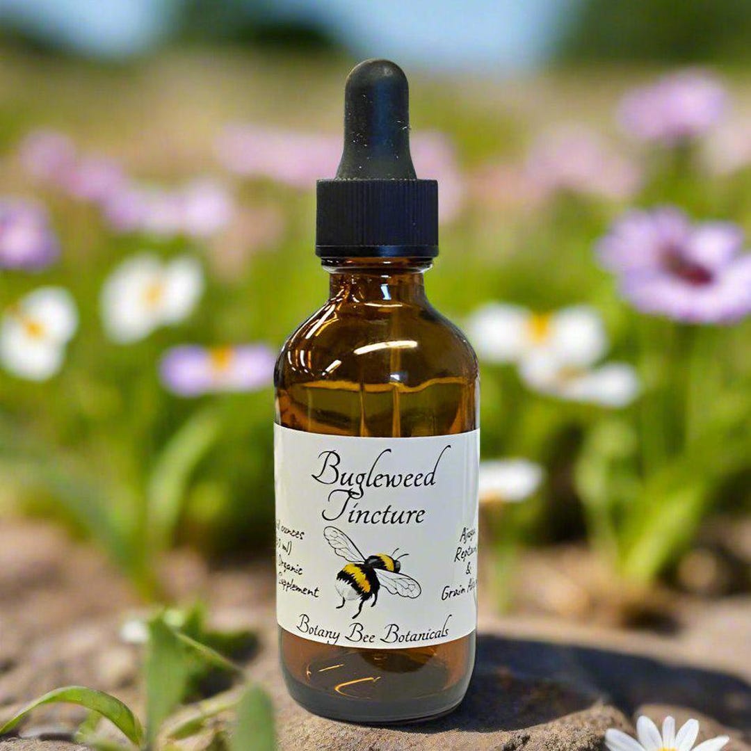 Bugle Tincture, Wild Organic Ajuga Reptans Herbal Extract, Bugleweed - Etsy