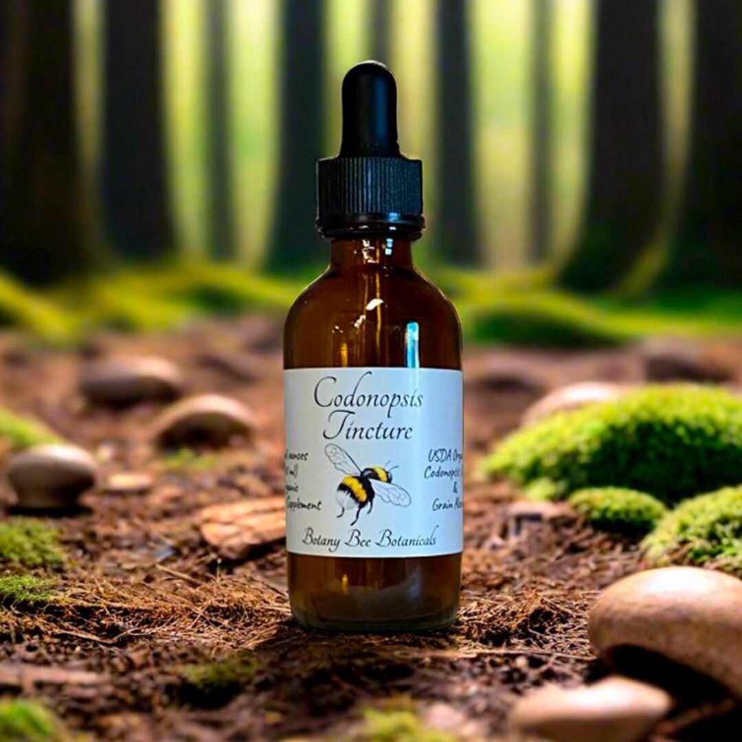 Codonopsis Tincture, Organic Codonopsis Radix Extract - Etsy