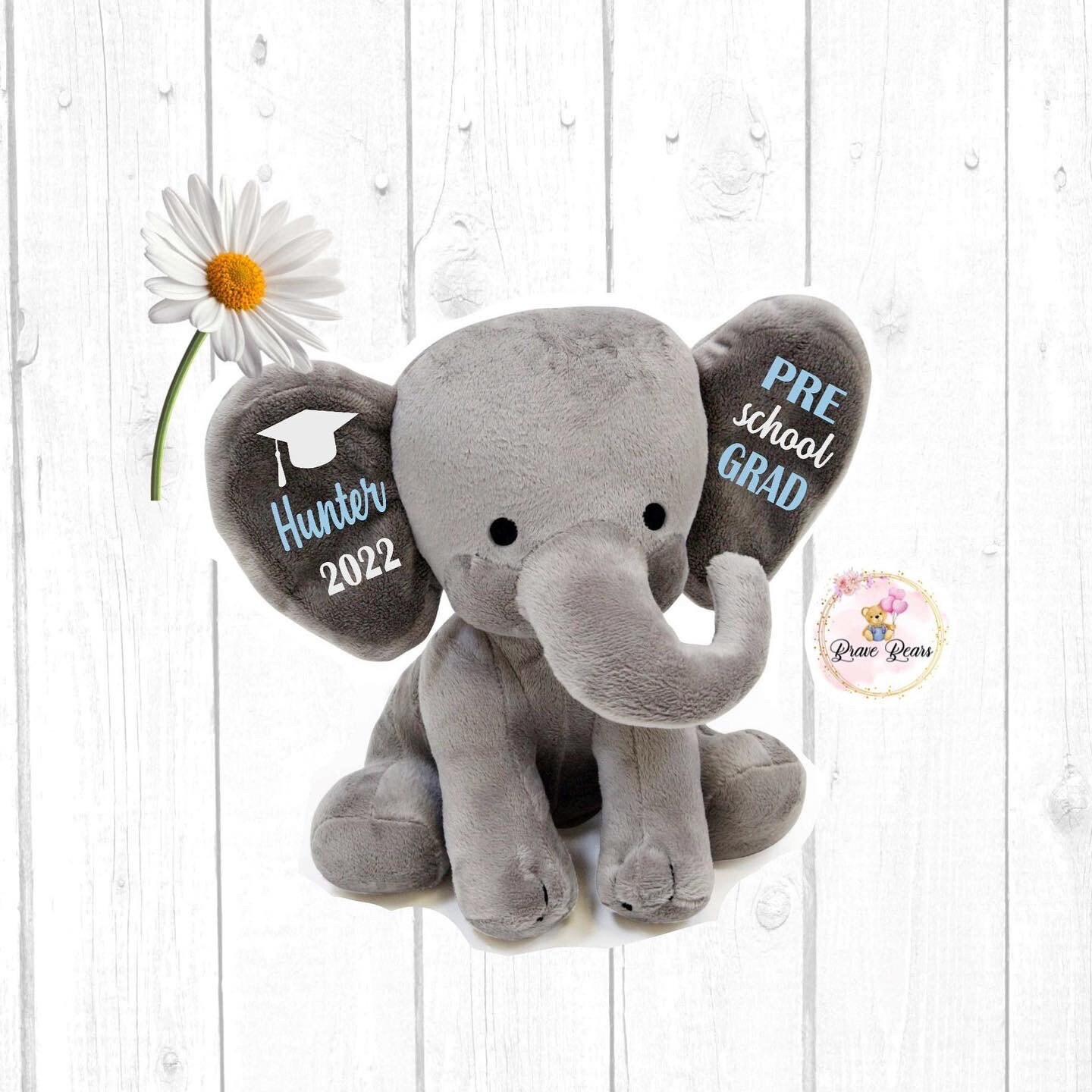 Preschool Graduation Gift. VPK Graduation Gift. Preschool Grad Gift ...