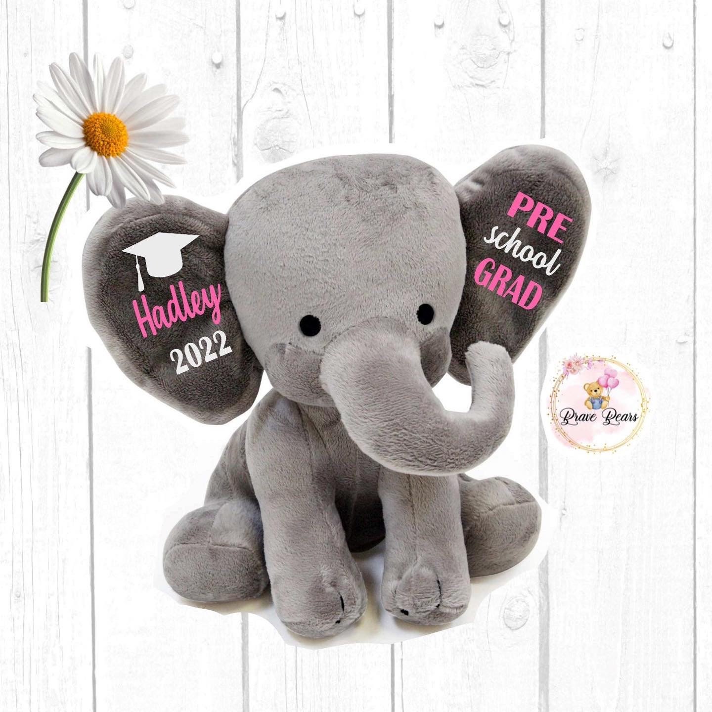 Preschool Graduation Gift. VPK Graduation Gift. Preschool Grad Gift ...