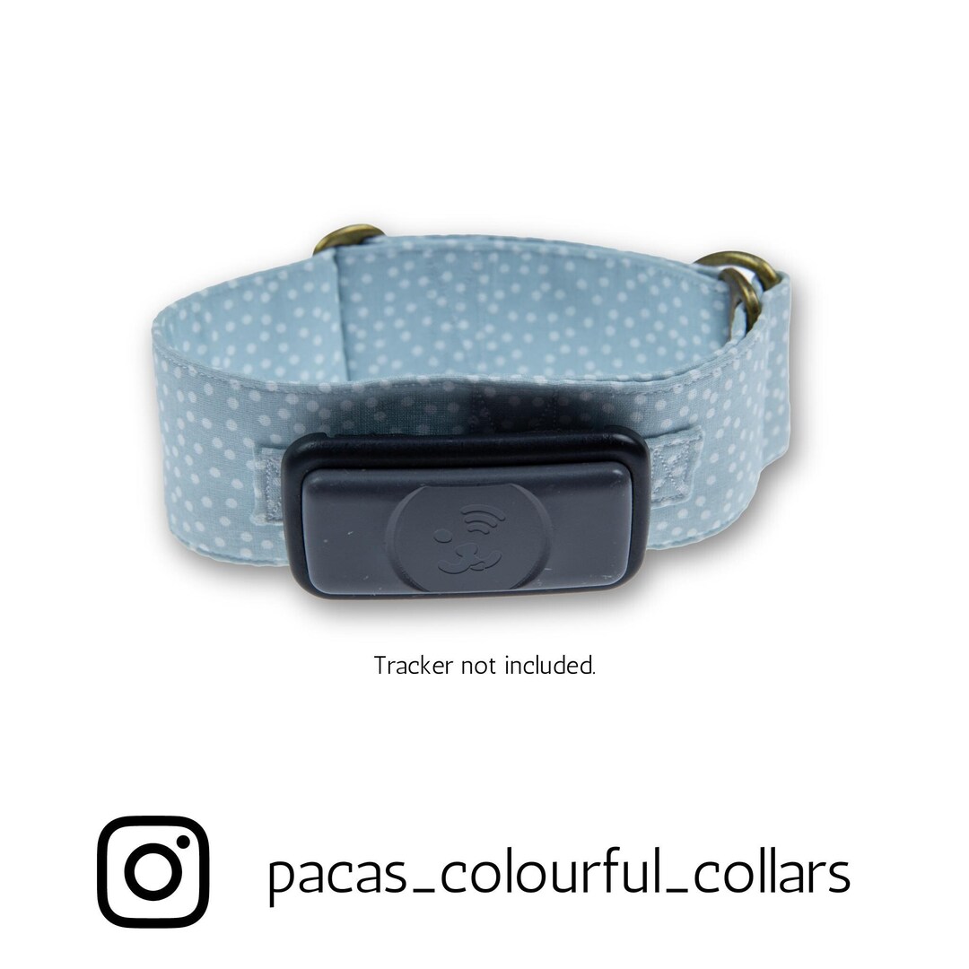 Dog Collar With Tracker Attachment - Etsy