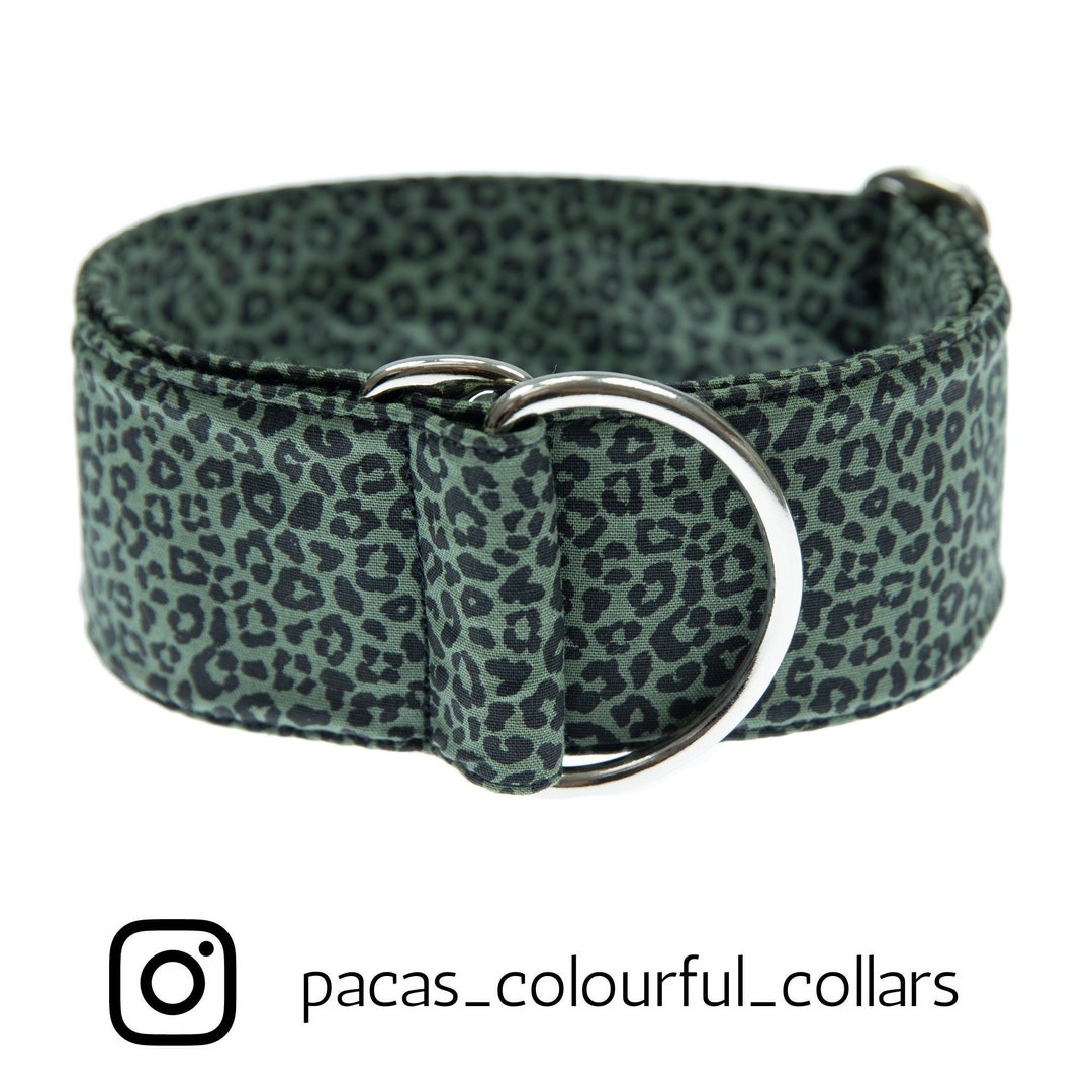 Sighthound Collar "to the Jungle" | Dog Collar in Khaki With Small ...