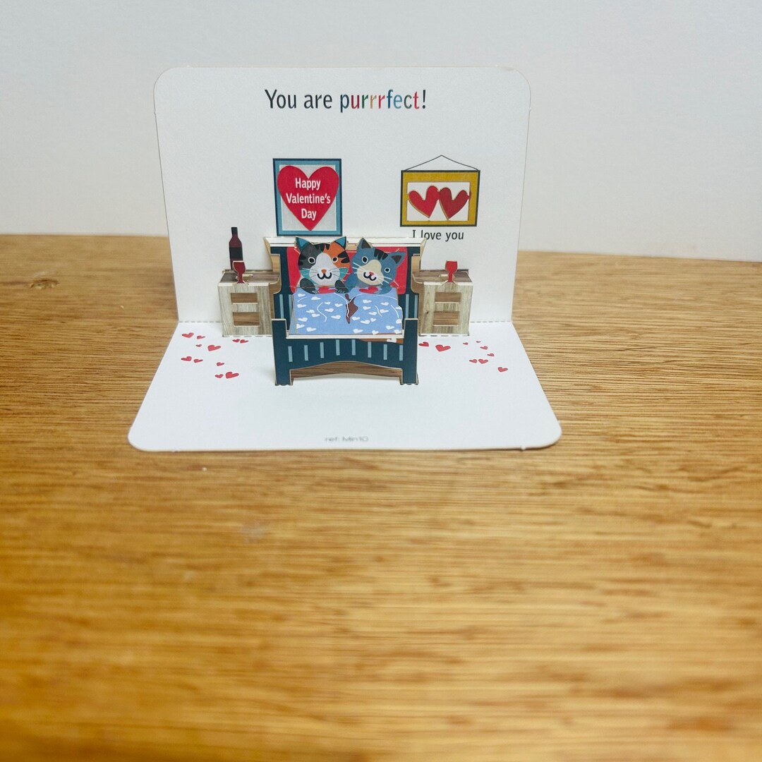 Mini You Are Purrrfect Cats in Bed Valentines Day Card, Mini Pop up ...