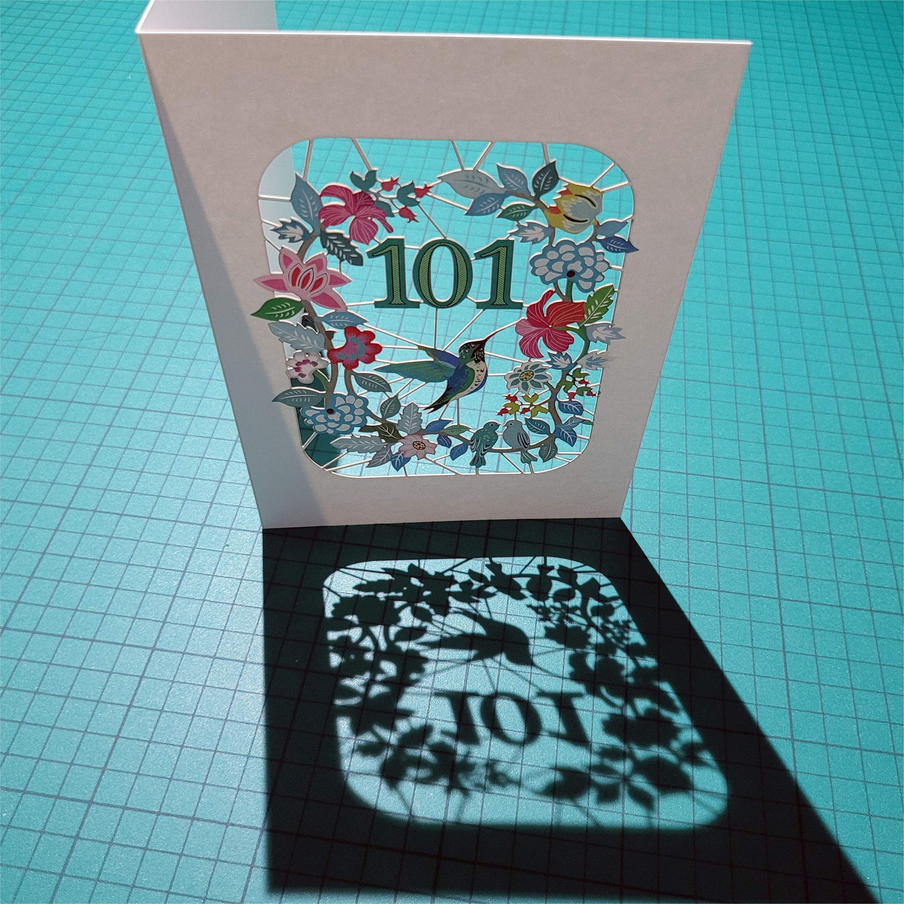 101th Birthday Card Age 101th Birthday Card 101 Age Birthday | Etsy