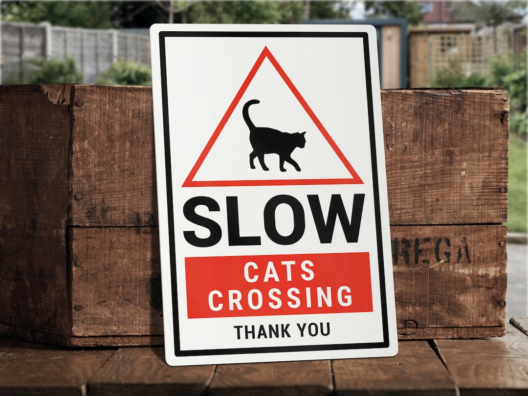 Metal Warning Sign: Cats SLOW Strong Waterproof 200mm X 295mm - Etsy
