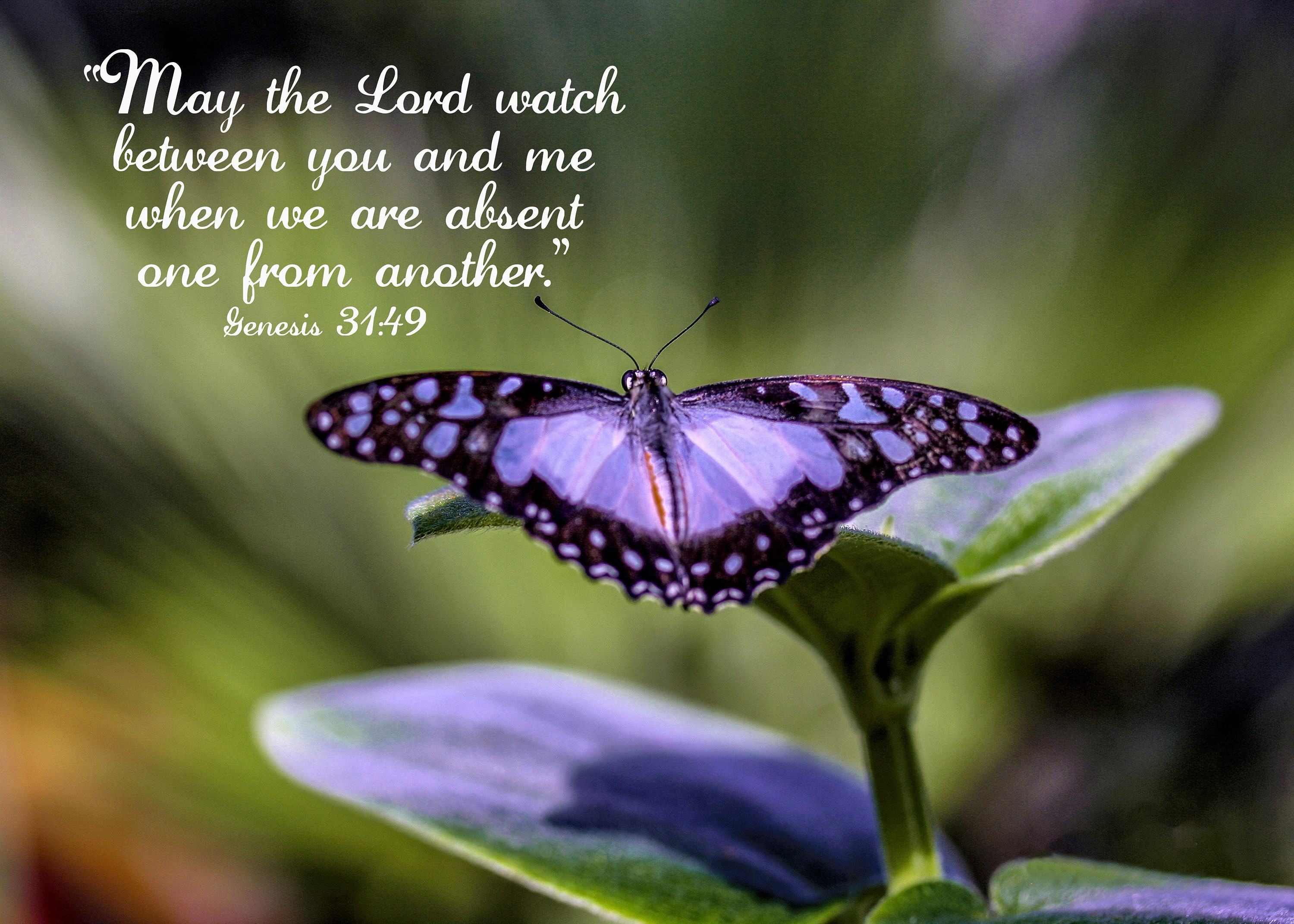 Butterfly Wall Art: Purple Borboleta With Scripture - Botanical ...