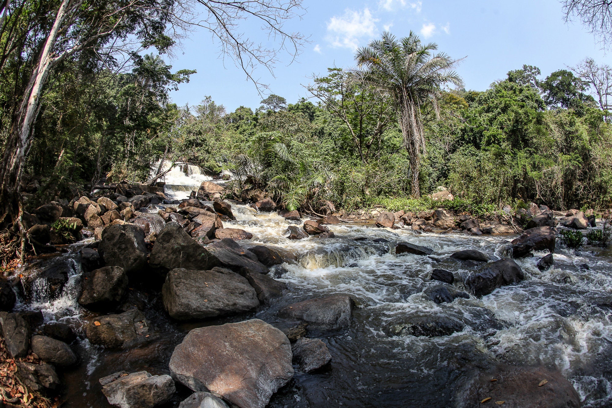 Kpatawee Waterfall Photo Print: Liberia Landscape, Nature Wall Art - Etsy