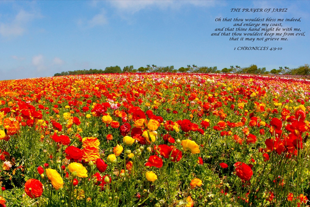 Enlarge My Territory Prayer Jabez Flower Garden Bible Verse 1 ...