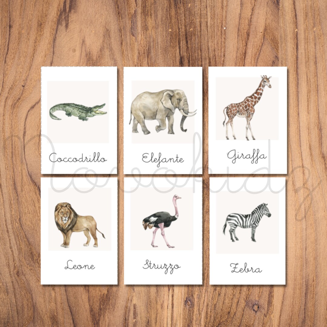Animals of Africa Montessori-inspired Learning Game Nomenclature Cards ...