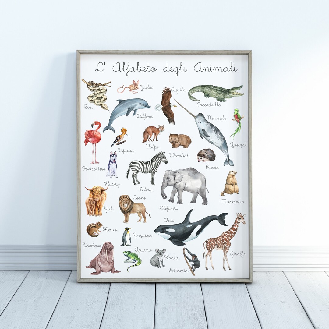 Italian Animal Alphabet Poster 30X40, Digital Nursery Poster, Instant ...