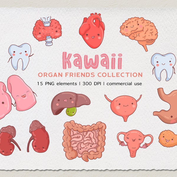 Organ Heart Png - Etsy