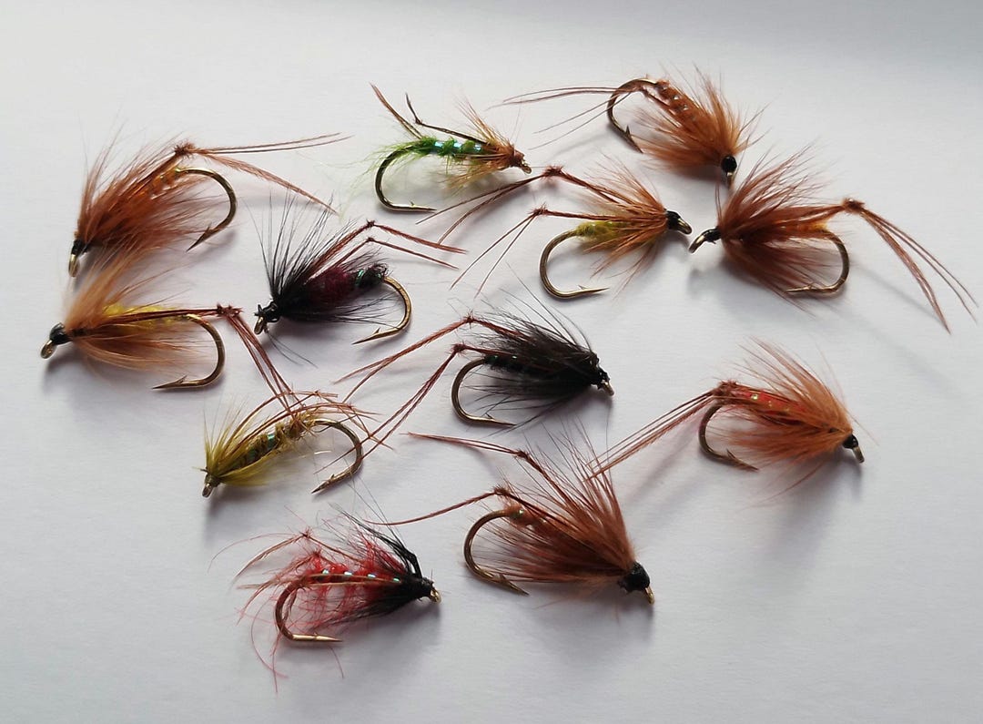 Pack of 12 Mixed Hopper Trout Flies - Etsy
