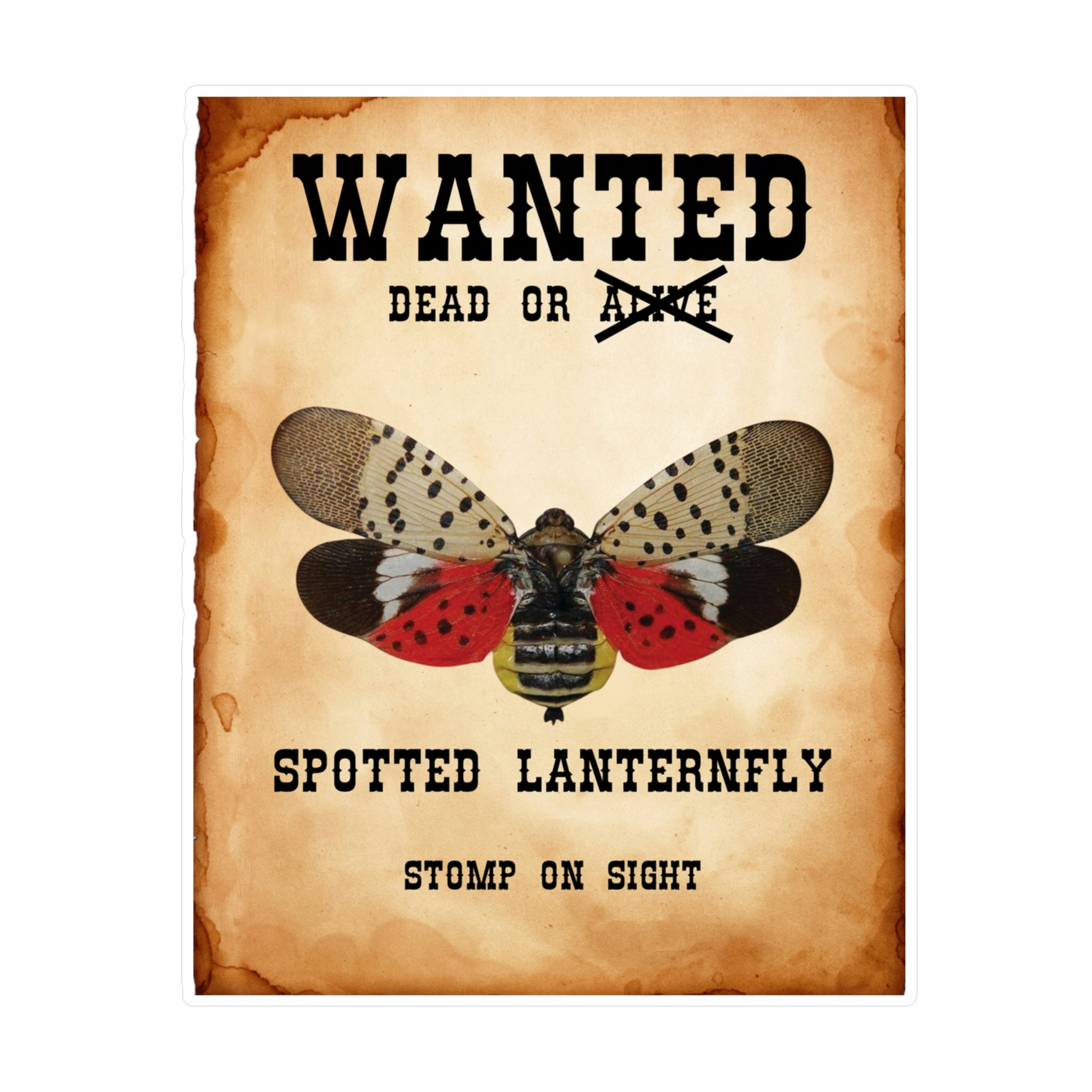 Spotted Lanternfly Wanted Poster Sticker - Etsy Hong Kong