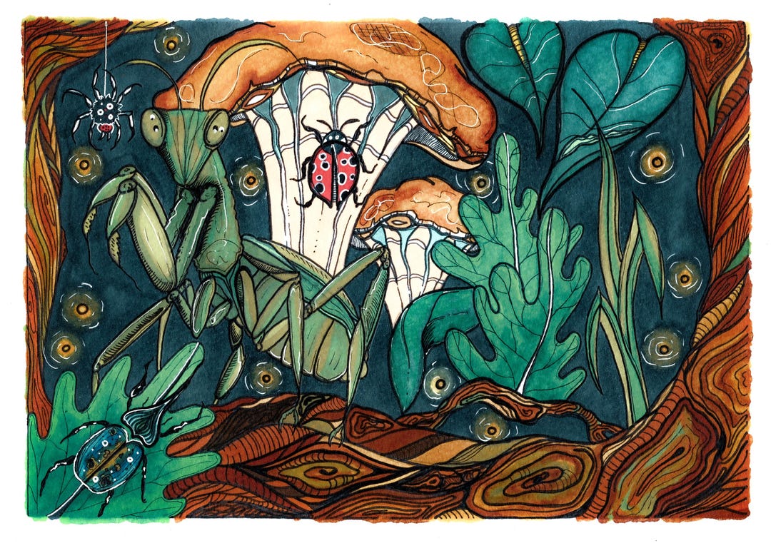 Insect Art Print, Bug Entomology Illustration - Etsy