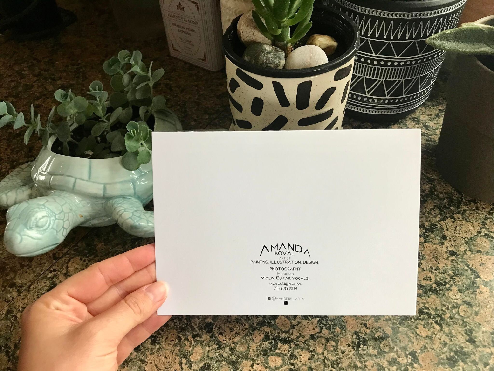 Blank Notecard - Caique - Etsy