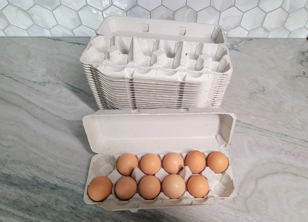 Blank Natural Pulp Paper Egg Cartons Holds 12 Eggs Pack of - Etsy