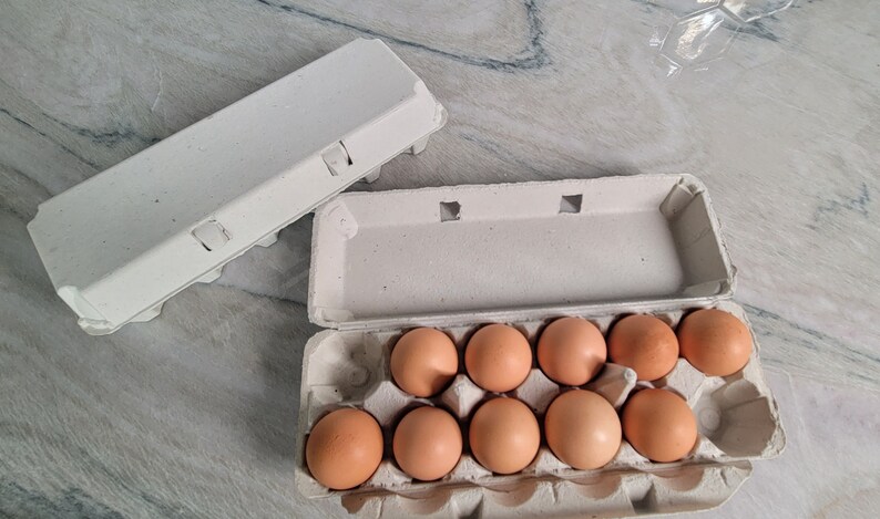 Blank Natural Pulp Paper Egg Cartons Holds 12 Eggs Pack of - Etsy