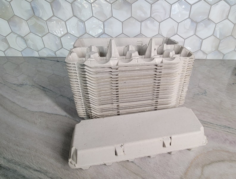 Blank Natural Pulp Paper Egg Cartons Holds 12 Eggs Pack of - Etsy