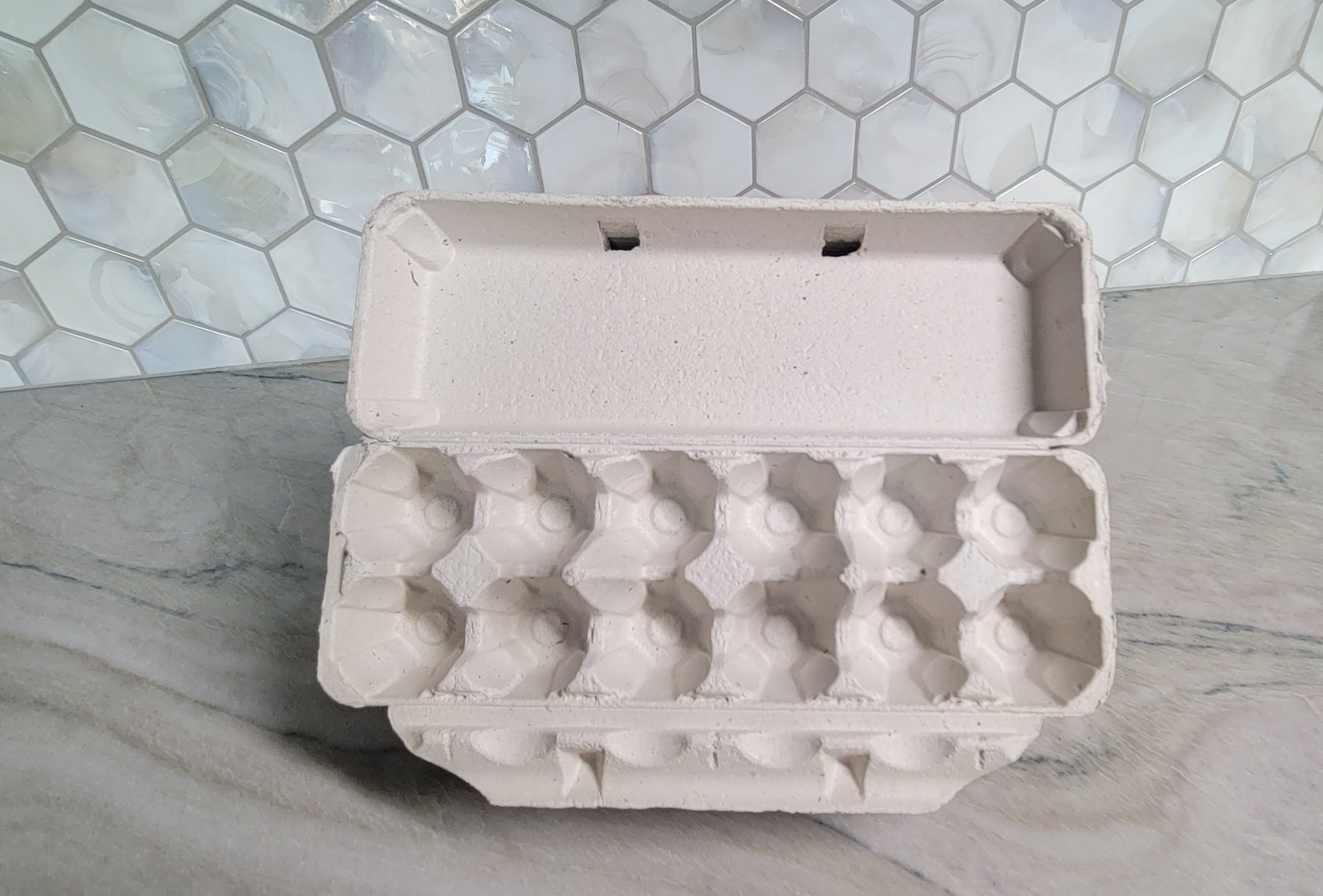 Blank Natural Pulp Paper Egg Cartons Holds 12 Eggs Pack of - Etsy