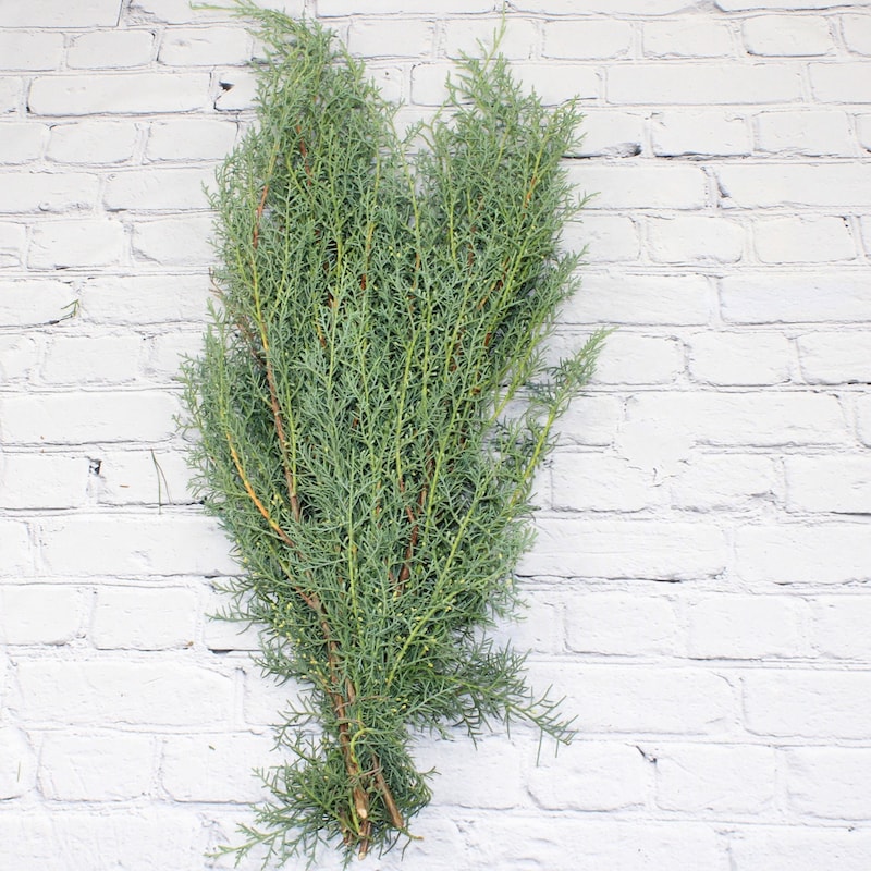 Baby Shower Cypress - Etsy