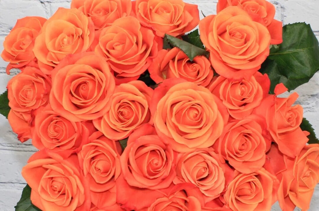 1 Bunch 25 Stems Fresh & Natural Rose Orange - Etsy
