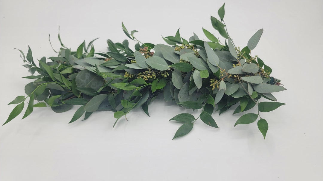 20 Feet Fresh & Natural Garland italian Ruscus, Silver Dollar, Seeded ...
