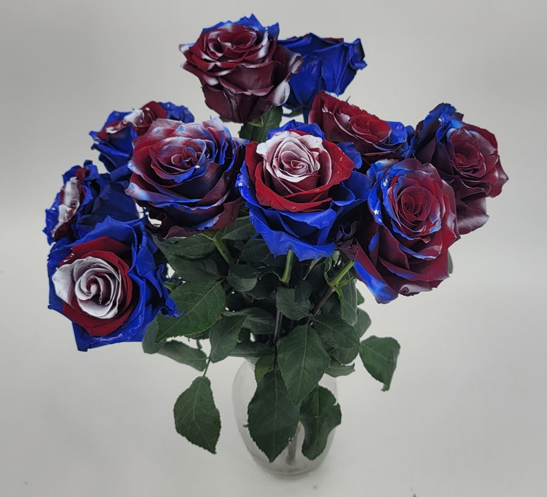 1 Bunch 25 Stems Fresh & Natural Tinted Rose 4th of July - Etsy