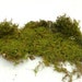 Fresh & Natural Sheet Moss - Etsy