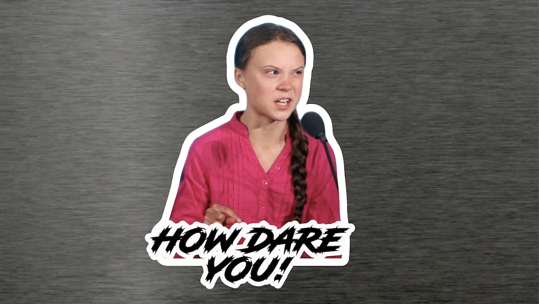 Greta Thunberg How Dare You Decal Funny JDM Drift Parody Car Sticker - Etsy