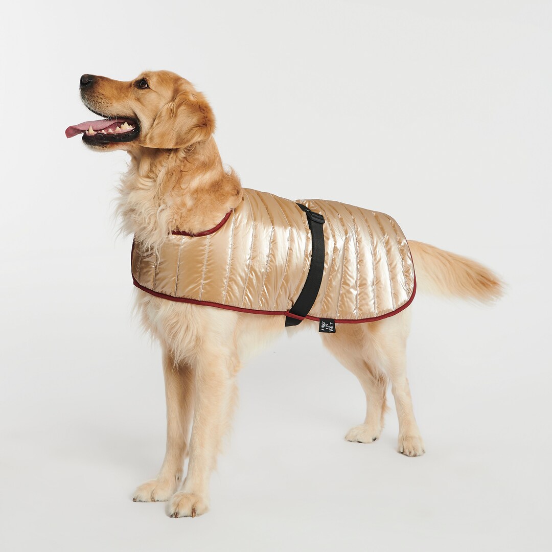 Handmade Quilted Pet Jacket Quilted Dog Coat Quilted Dog - Etsy