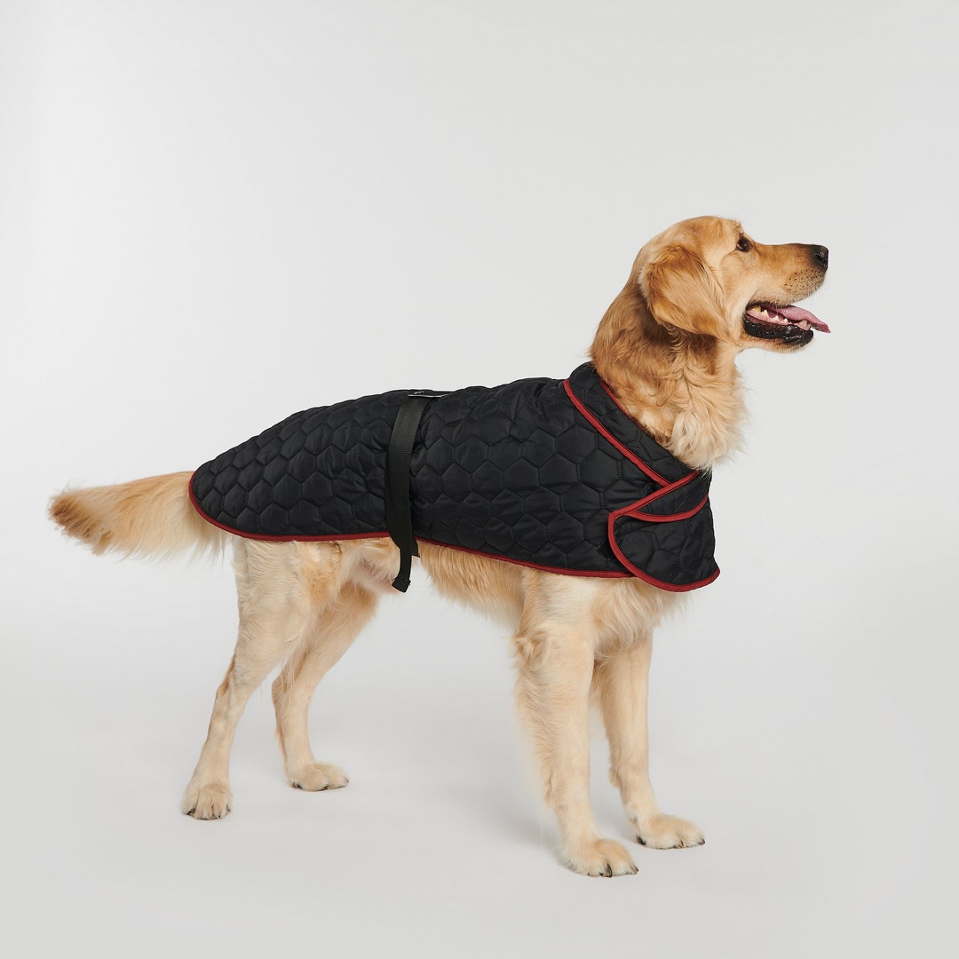 Handmade Quilted Pet Jacket Quilted Dog Coat Quilted Dog Jacket Pet ...