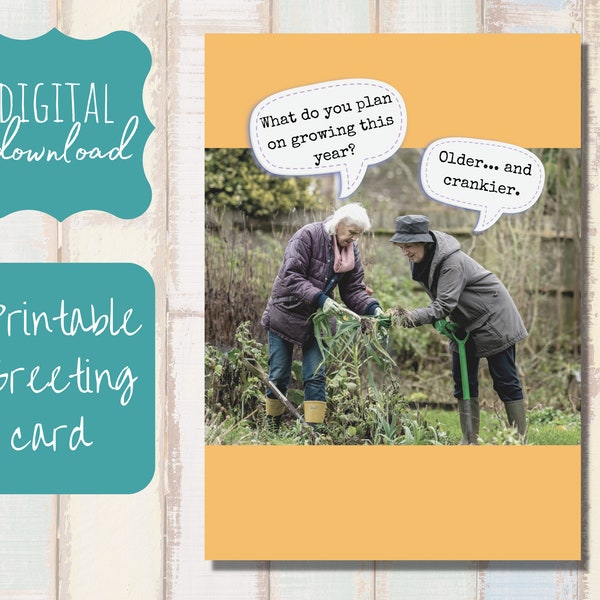 Fun Greeting Cards - Etsy