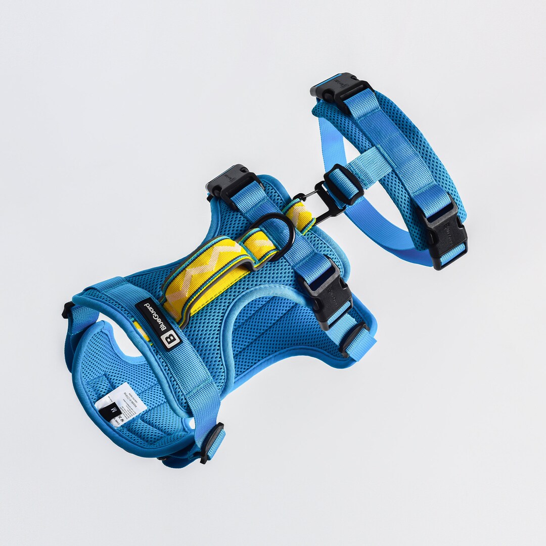 Blueguard Safety Harness, Chest Harness, Dog Harness, Panic Harness ...