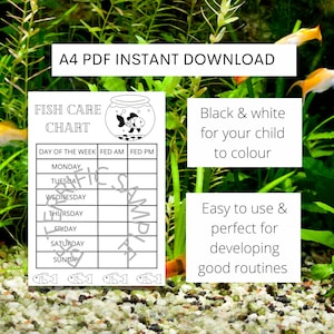 Printable Fish Feeding Chart, Children's Fish Feeding Chart, Pet Chart ...