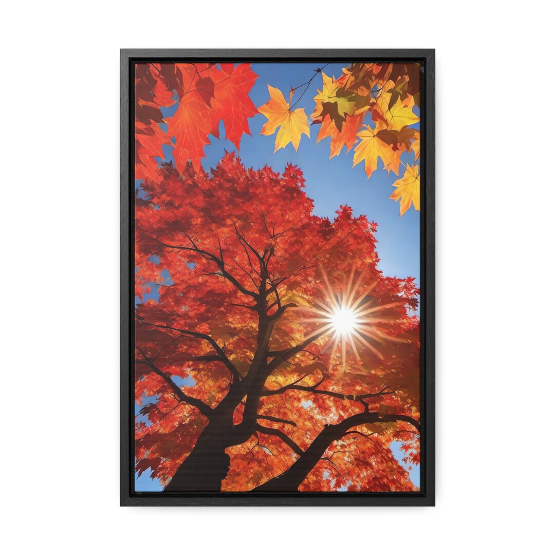 Red Maples in Sunlight Gallery Canvas Wraps, Vertical Frame, Wall Art, Home Decor, Great Gift - Etsy