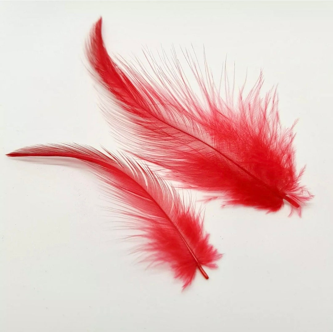 Red Rooster / Cock Hackle 50 Feathers Flynscotsman Tackle Loose No Cape ...