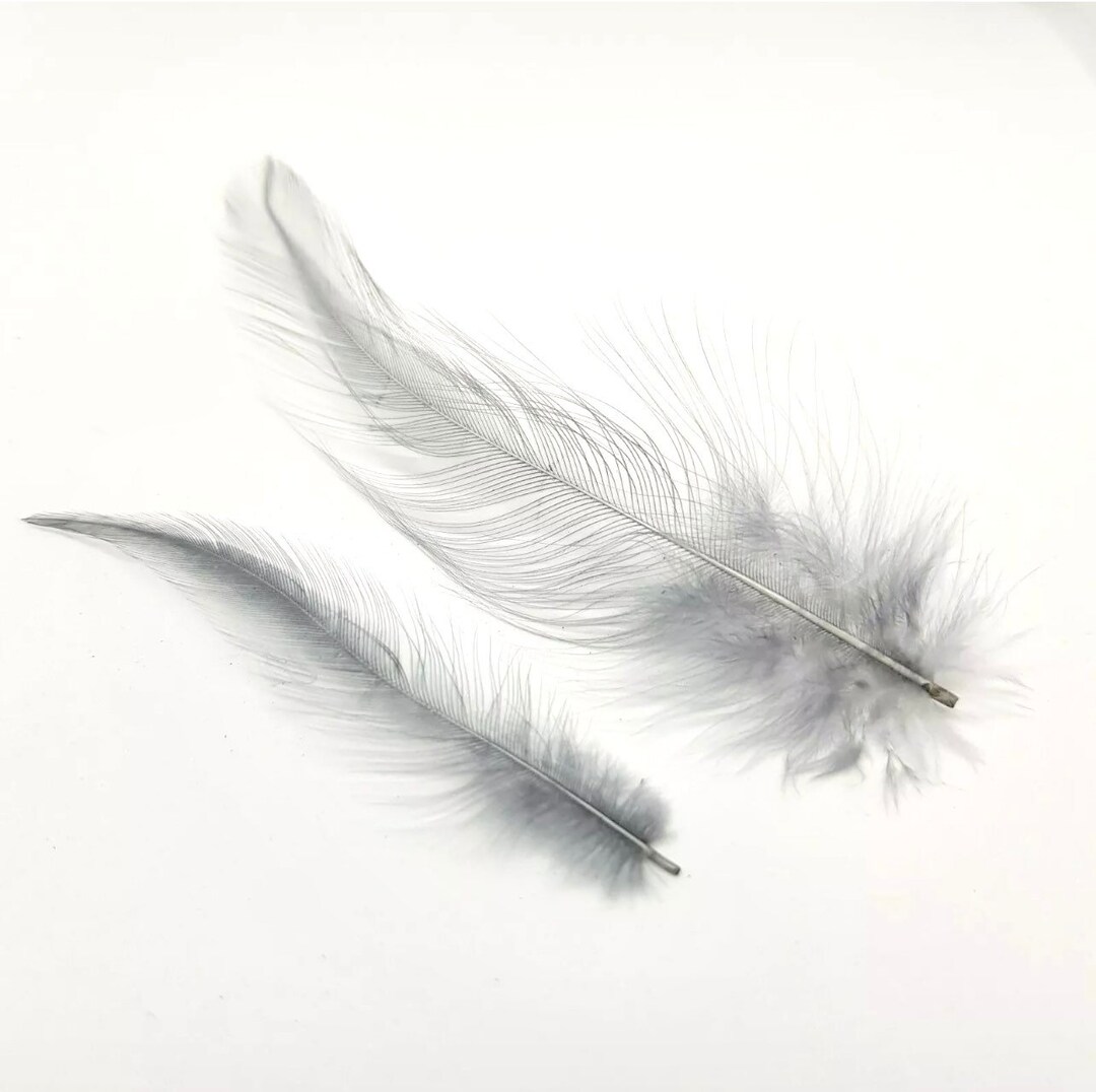 Blue Dun Rooster / Cock Hackle 50 Feathers Flynscotsman Tackle Loose No ...